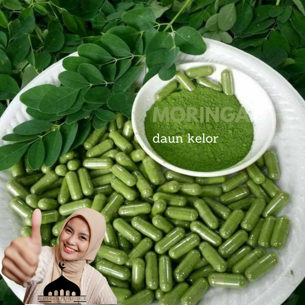 Moringa Capsule Daun Kelor 100% Asli Produk Orang Kampung HALAL ...