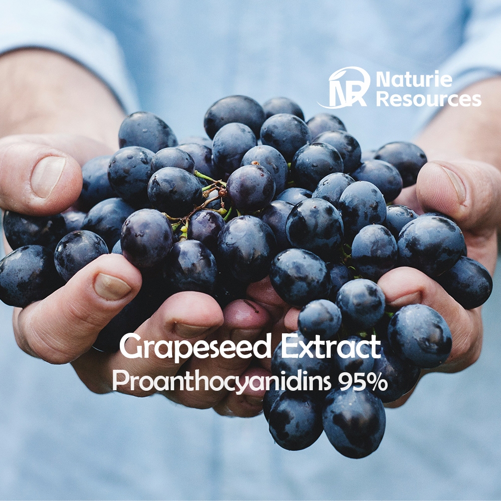 Grapeseed Proanthocyanidins 95% - Antioxidant/Skin Brightening | Shopee ...