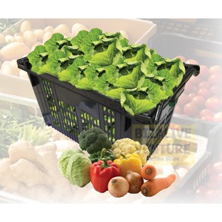 Heavy Duty Basket | Durian Basket | Vegetable Basket | Fruits Basket ...