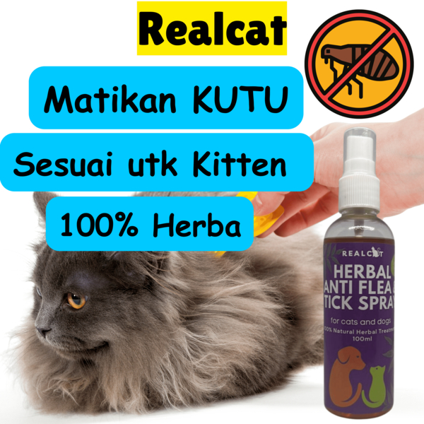 Spray Kutu Kucing Organik Cat Flea Spray Ubat Kutu Kucing Paling ...