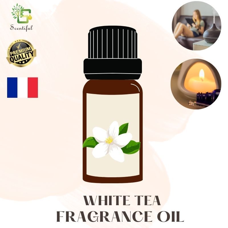 White Tea Fragrance Oil Premium 10ML&50ML Imported From France | Shopee ...