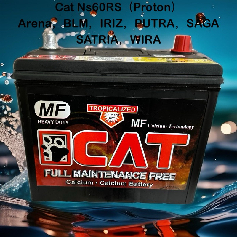 （Sarawak）[Installation Provided] CAT NS60 NS60L /R 55B24L/R Car Battery Bateri Kereta Proton ...