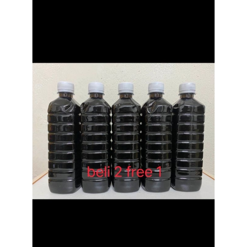 daun laut pati ketapang ori kaw kaw gila untuk ikan laga /guppy/channa ...