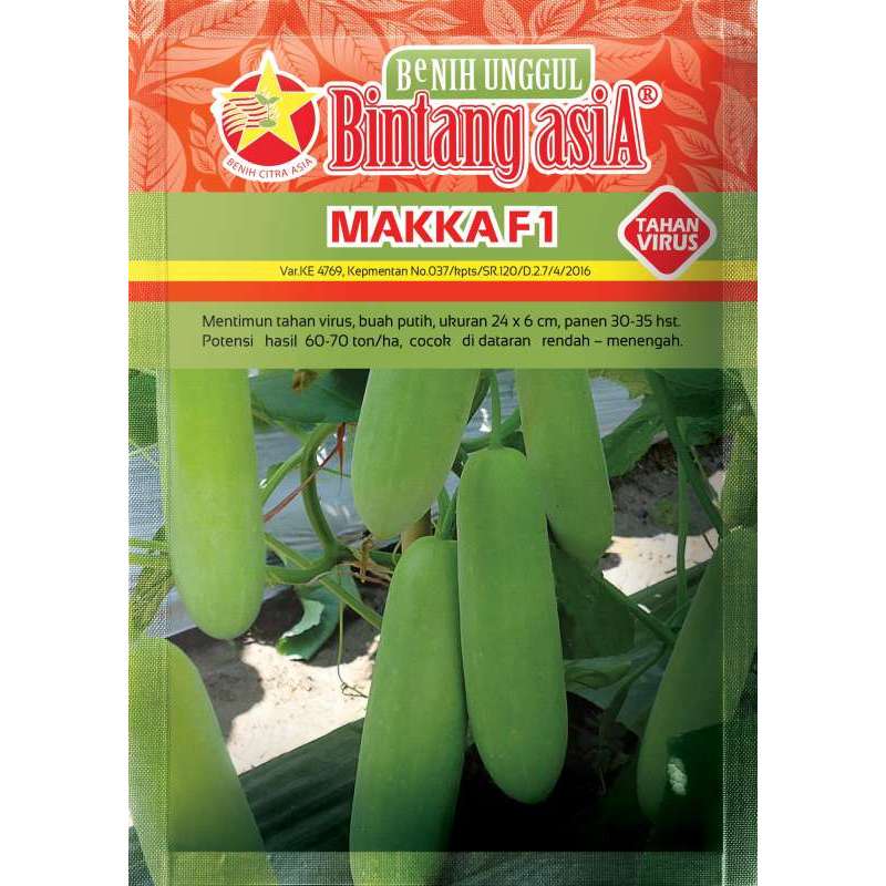 BINTANG ASIA - BIJI BENIH TIMUN PUTIH SUSU BUAH PANJANG PACK 20 GRAM ...