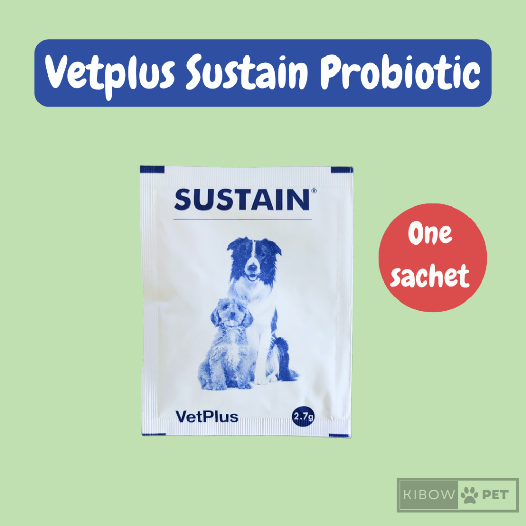 Vetplus Sustain for Small & Medium Dogs / Probiotic Supplement (1 ...