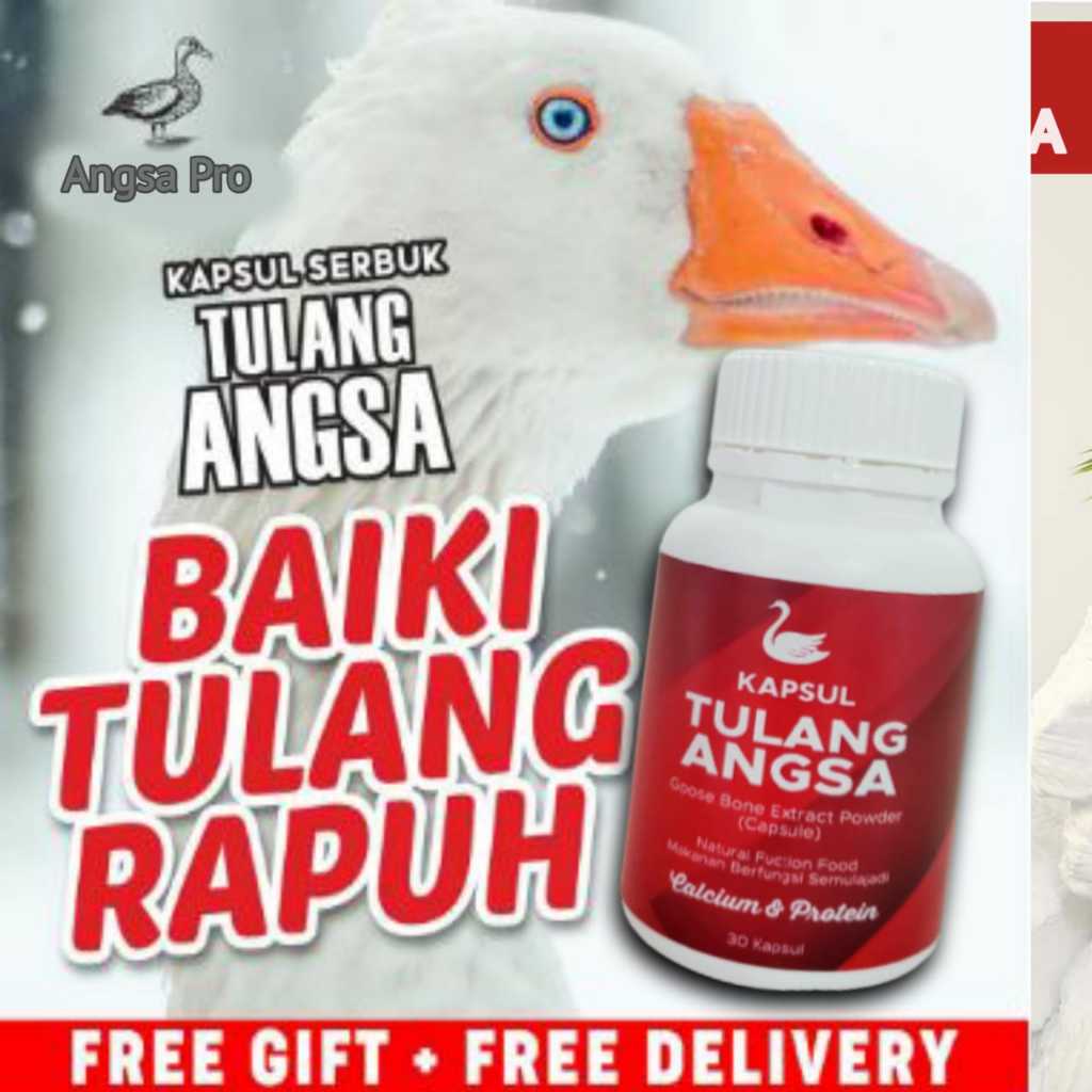 Kapsul Tulang Angsa Capsule Orginal Terbaik Untuk Joint Pain 30 Caps ...