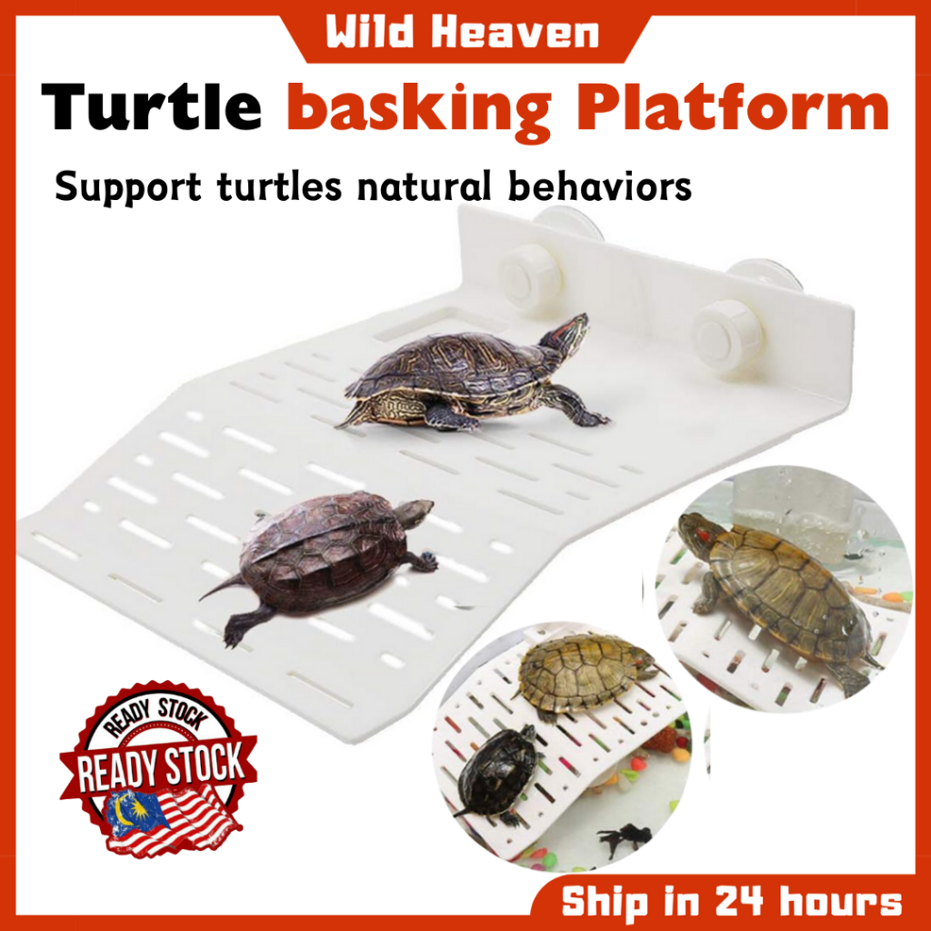 Turtle Basking Platform Tortoise Tank accessories Ramp Reptile Resting ...