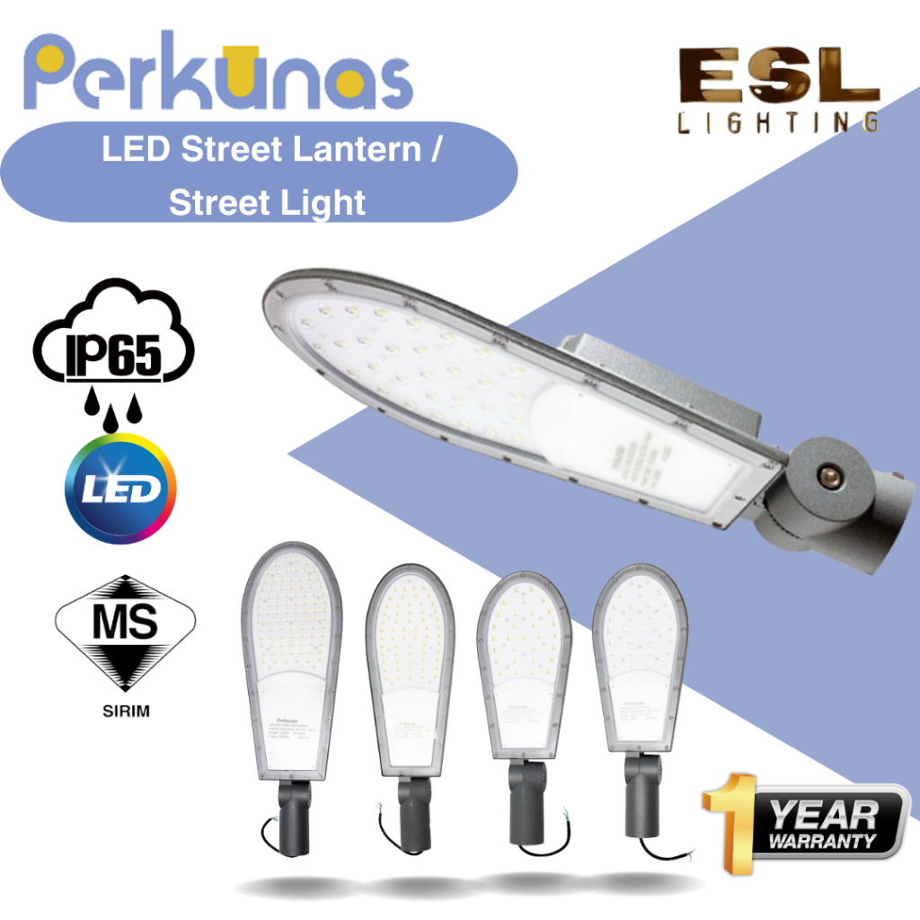 ESL LIGHTING PERKUNAS LED Street Lantern / Street Light 50W/100W/150W ...