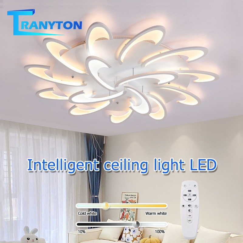 LED Ceiling Lamp Fashion Globular Chandelier Ceiling Light 3Color ...