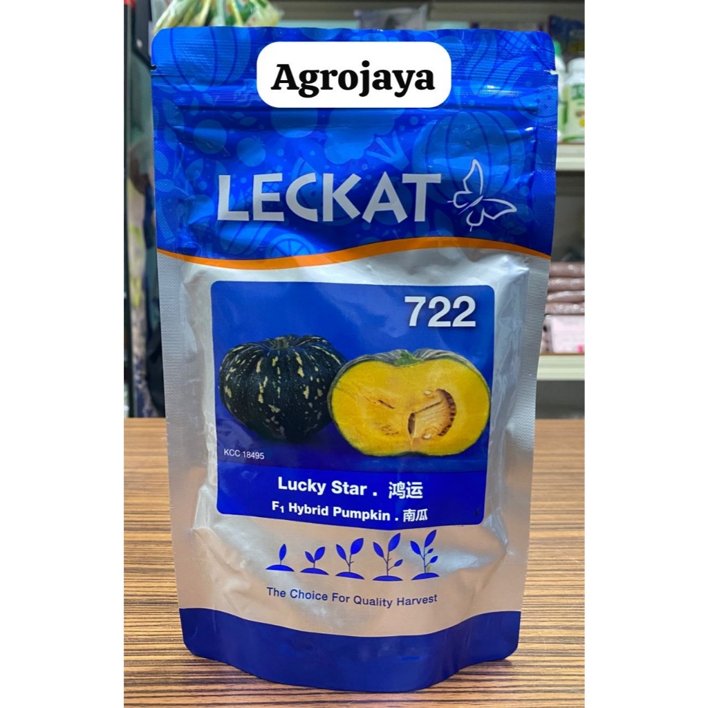 (Repek 20gm) +-150 Biji F1 Lucky Star 722 Labu Manis Benih Leckat ...