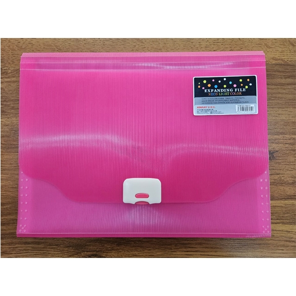 MYFILES- 13 Pocket A4 Size Epxanding File Multilayer Grid Expandable ...