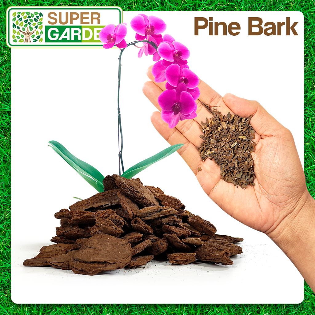 Pine Bark 5 Liter Kulit Kayu Pain Garden Plant Wood Orchid Turtle ...