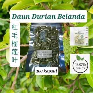 kapsul Daun Durian Belanda ( Teh/Serbuk/Kapsul ) 紅毛榴莲叶 ( 丸/粉/茶 ...