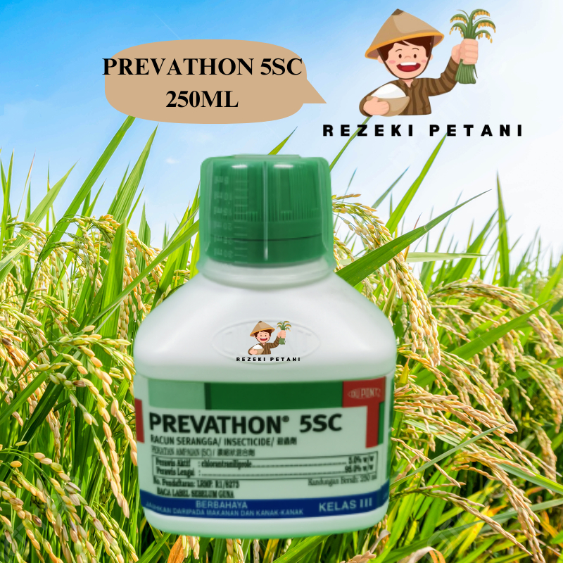 [ORIGINAL] 250ML Prevathon 5SC SC FMC Racun Serangga/Sab/Racun Ulat ...