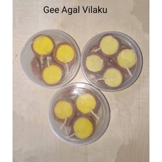 Pure Cow Ghee Nei vilakku for Pooja,Festivals &Religious rituals ...