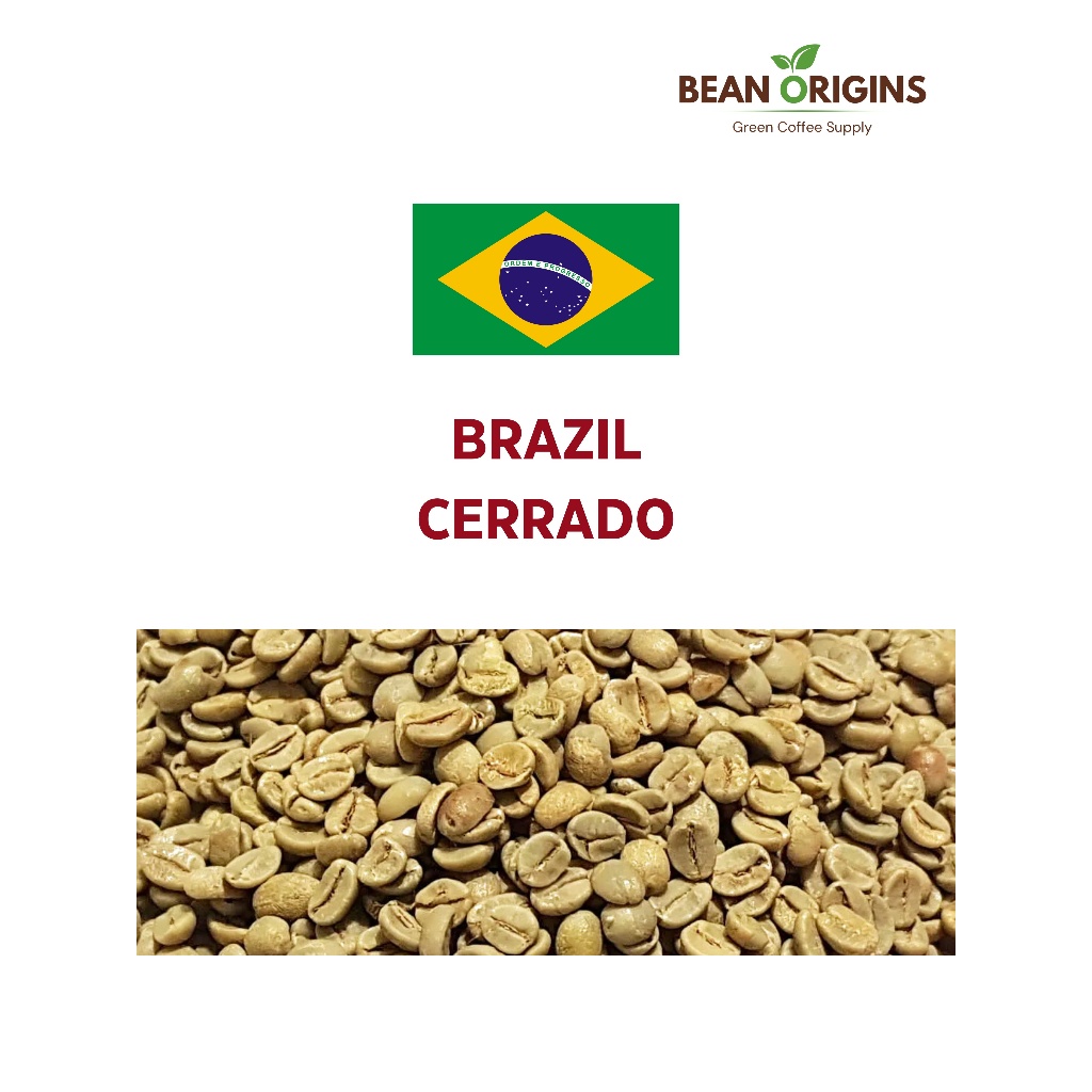 Unroasted Brazil Cerrado (Grade 1) Arabica Raw Coffee Bean I 400g I 1kg ...
