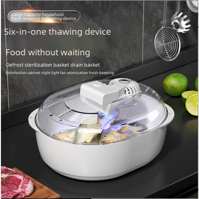 **2024 NEW** 6 in 1 Meat Defrost Machine, Frozen Meat Thawing Tray ...