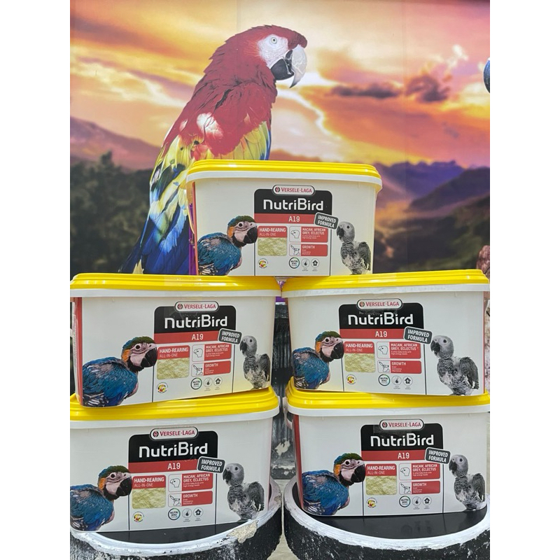 NUTRIBIRD A19 3kg Hand-rearing food for macaws, African greys, eclectus ...