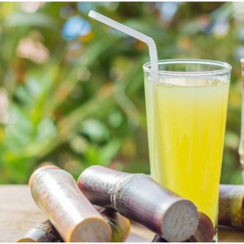 Benih Tebu Hitam/ Sugar Cane | Shopee Malaysia