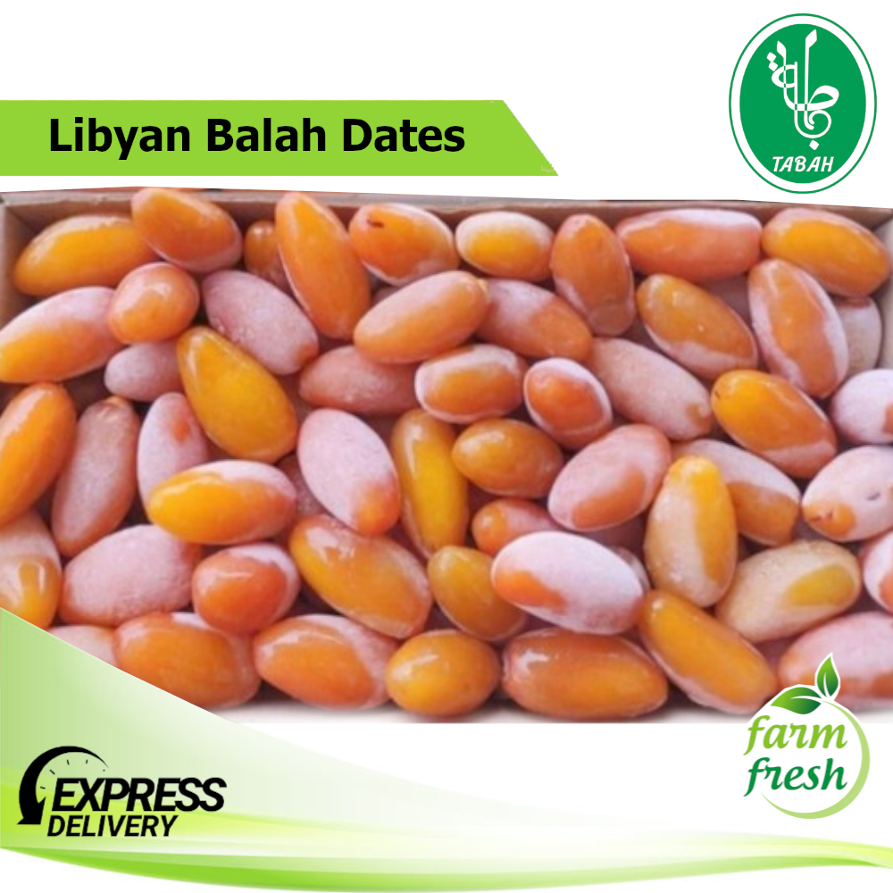 1 KG LIBYAN BALAH DATES/KURMA MUDA LIBYA/KURMA MUDA TANGKAI/KURMA SEJUK ...