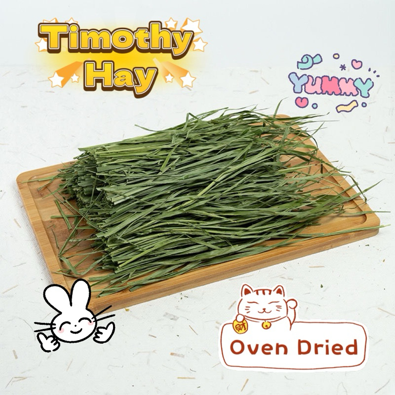 Premium Timothy Hay Oven Dried Hay Rabbit Chinchilla Guinea Pig Food ...