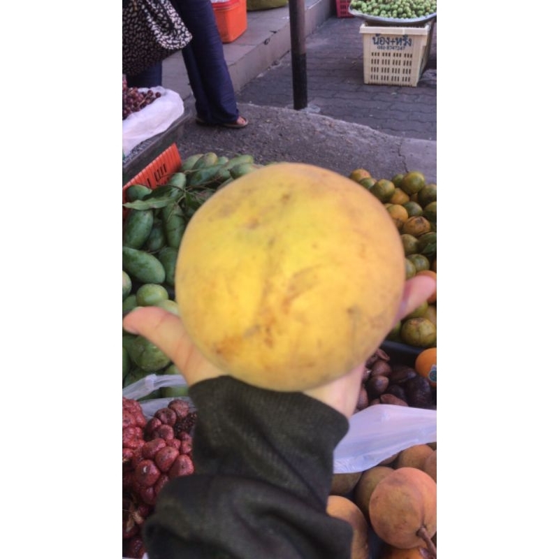 BUAH SETOI MASAM MANIS 1 KG | Shopee Malaysia
