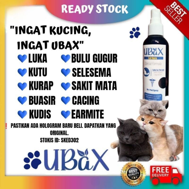 Ubax Cat Hero | Original HQ | Shopee Malaysia