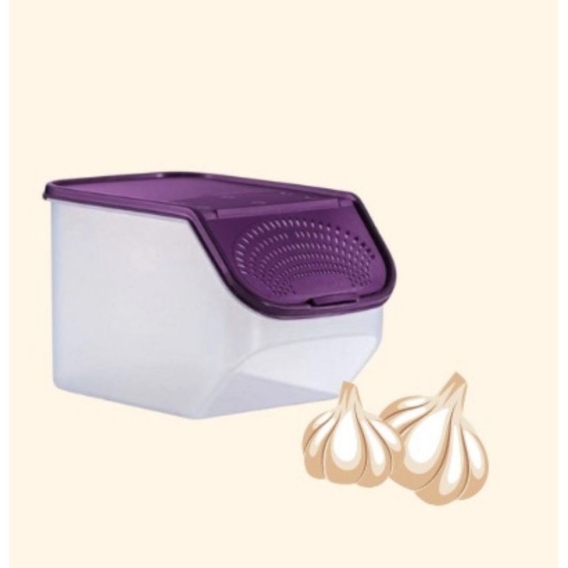 🔥 Promotion 🔥 Tupperware Brands Garlic Keeper 3.0L Purple | Shopee Malaysia