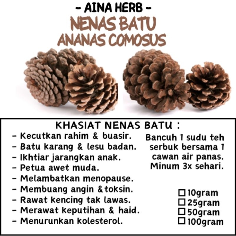 HSK SERBUK NENAS BATU | PINE CONE ANANAS COMOSUS POWDER | PERANCANG ...