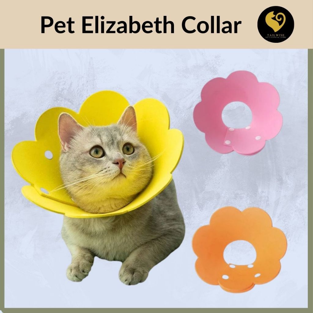 Cat Sunflower Cone Elizabeth Collar Neck Collar Kucing Sakit Cute ...