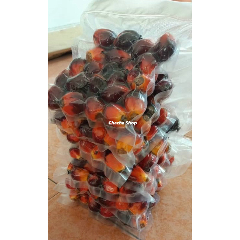 PRODUK MALAYSIA [BANTING] UMPAN BUAH SAWIT PERAM SEGAR MURAH ...