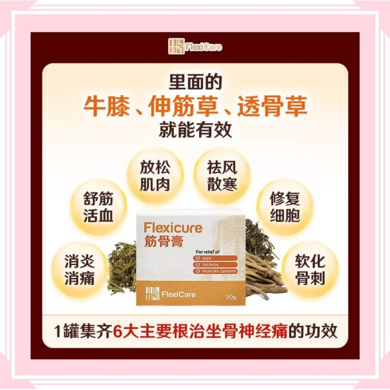 FlexiCare 筋骨王Flexicure 1 botol x20g/颈椎病/50肩/关节炎/风湿痛/膝盖痛 | Shopee Malaysia