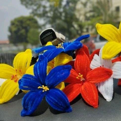 BUNGA RAYA MERDEKA/AKSESORI MERDEKA | Shopee Malaysia