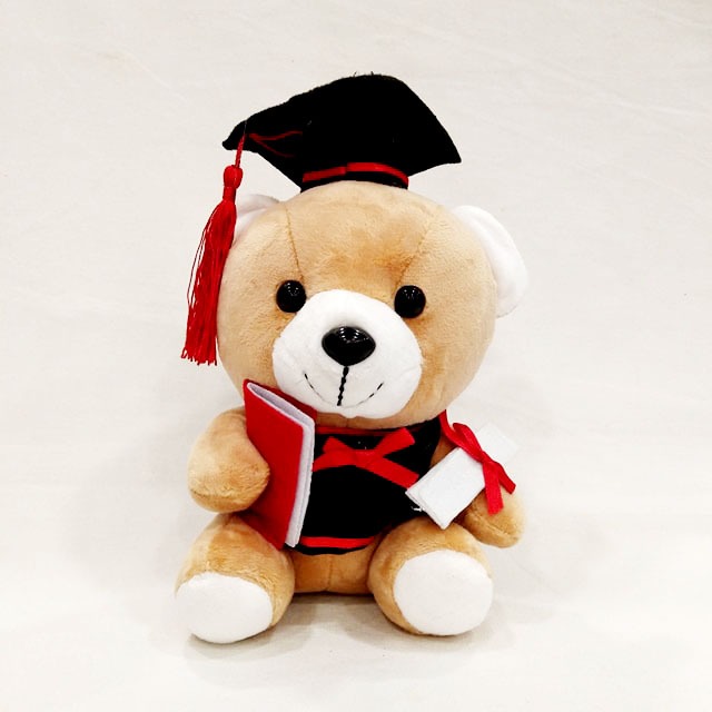 12cm 20cm Graduation bear stuffed toy Convocation bear Bouquet Student ...