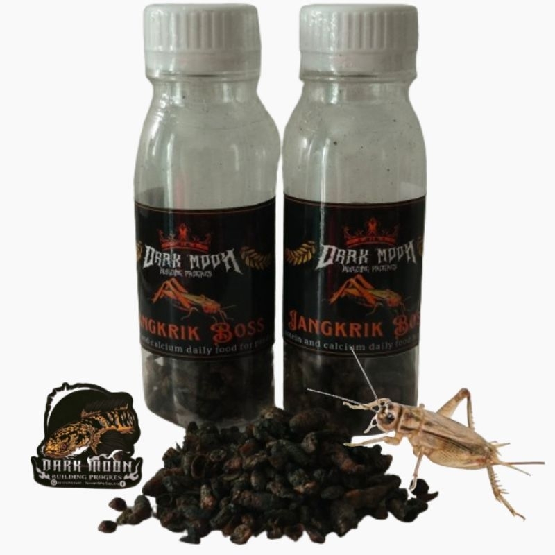 CENGKERIK KERING by Dark Moon Pigmen Hitam Progres Bar Hitam Channa ...