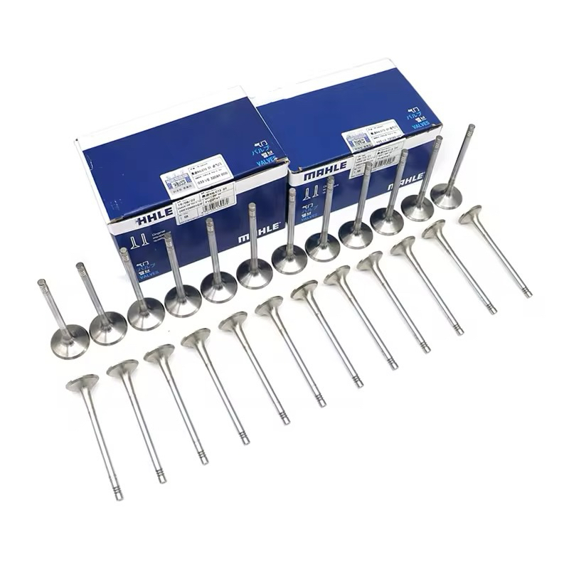 Mahle 24Pcs Engine Intake & Exhaust Valve Kit For Audi A4 A6 A8 Q5 Q7 ...