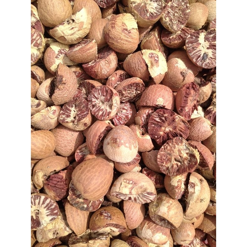 Buah pinang Belah kering tanpa Kulit 1kg | Shopee Malaysia
