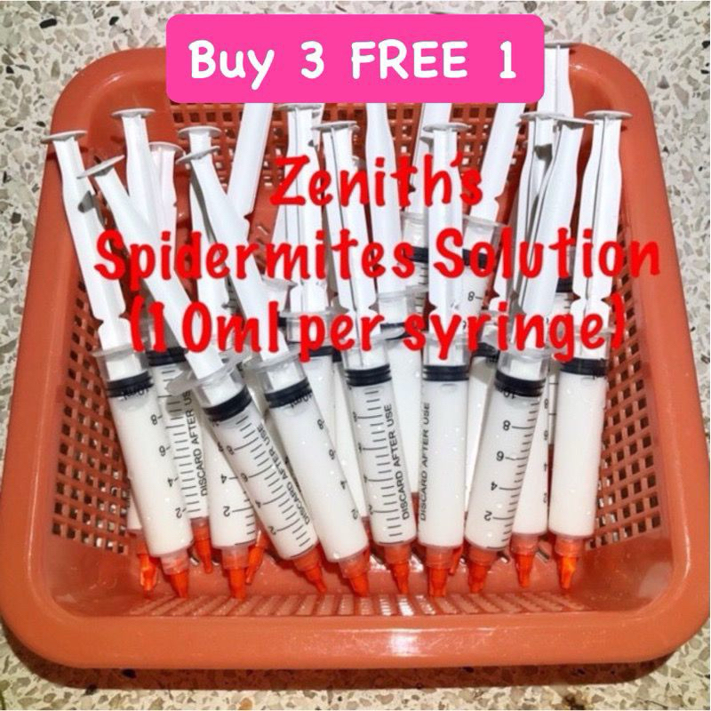 SPIDERMITES SOLUTION ( plant / pokok / keladi / colocasia / alocasia ...