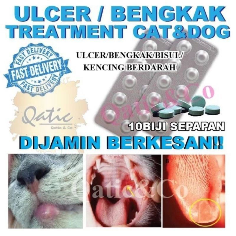 Ubat Radang Ulcer Bengkak Swelling Bisul Kencing Berdarah Kucing anjing ...