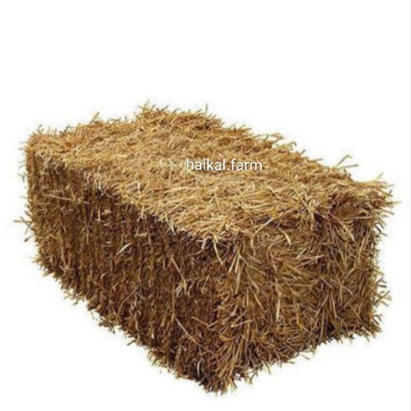 Jerami Padi / Jerami petak / Jerami Deco | Shopee Malaysia