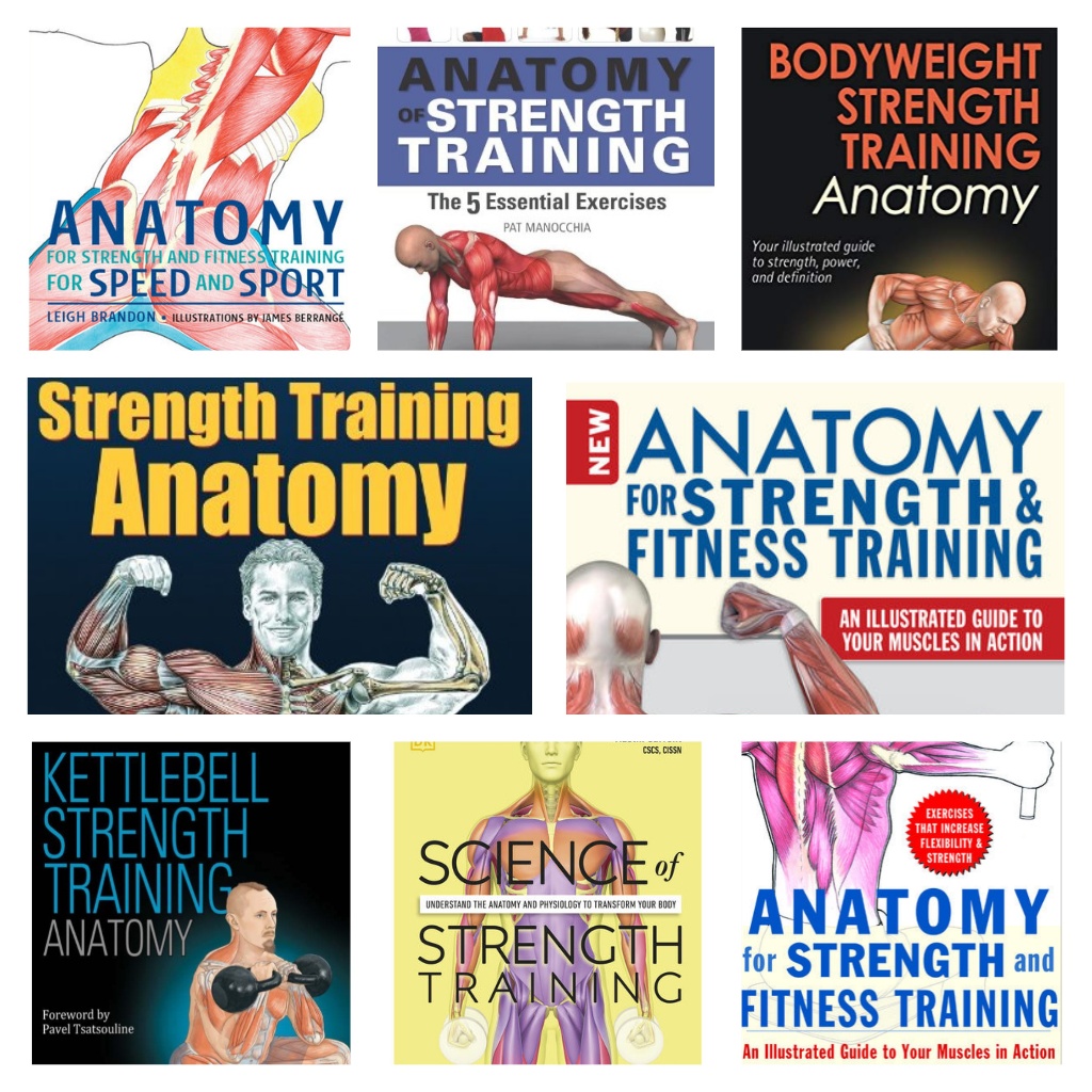 Anatomy for Strength and Fitness Training Exercises | Bodyweight ...