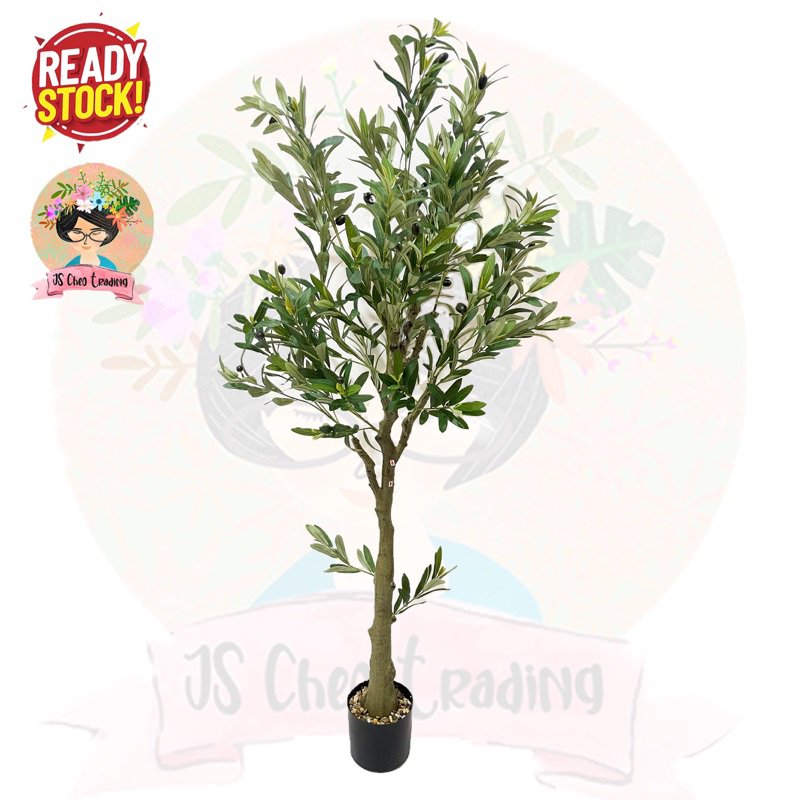 🔥Ready Stock🔥Artificial Olive Tree/Pokok Zaiton Hiasan Rumah Decor ...