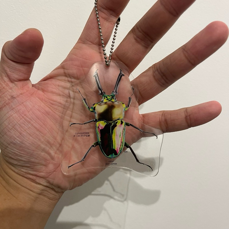 Bandai Coleoptera insect rainbow beetle keychain key holder look like ...