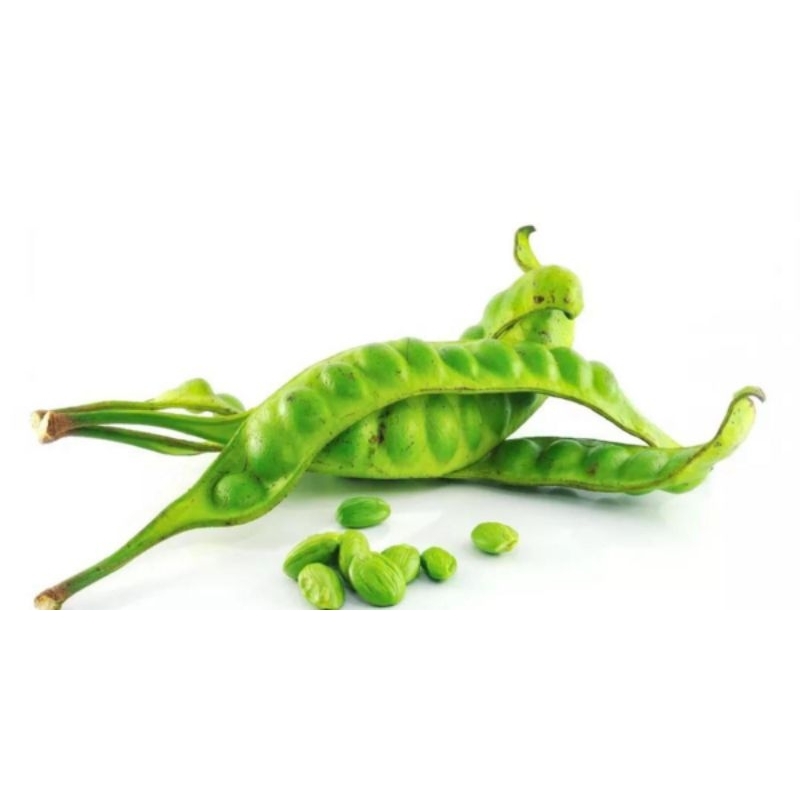 PETAI FRESH DARI KEBUN (BACA ISI KANDUNGAN DULU SEBELUM BELI) | Shopee ...