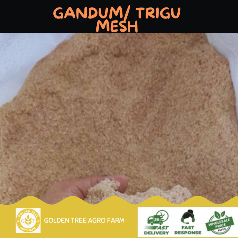 Bijirin Gandum/ Dedak Gandum/ Trigu Mesh Natural Raw Untuk Haiwan ...