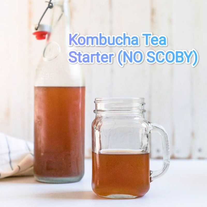 KOMBUCHA Chinese Fermented Probiotics Tea 康普茶 150ml NO SCOBY | Shopee ...