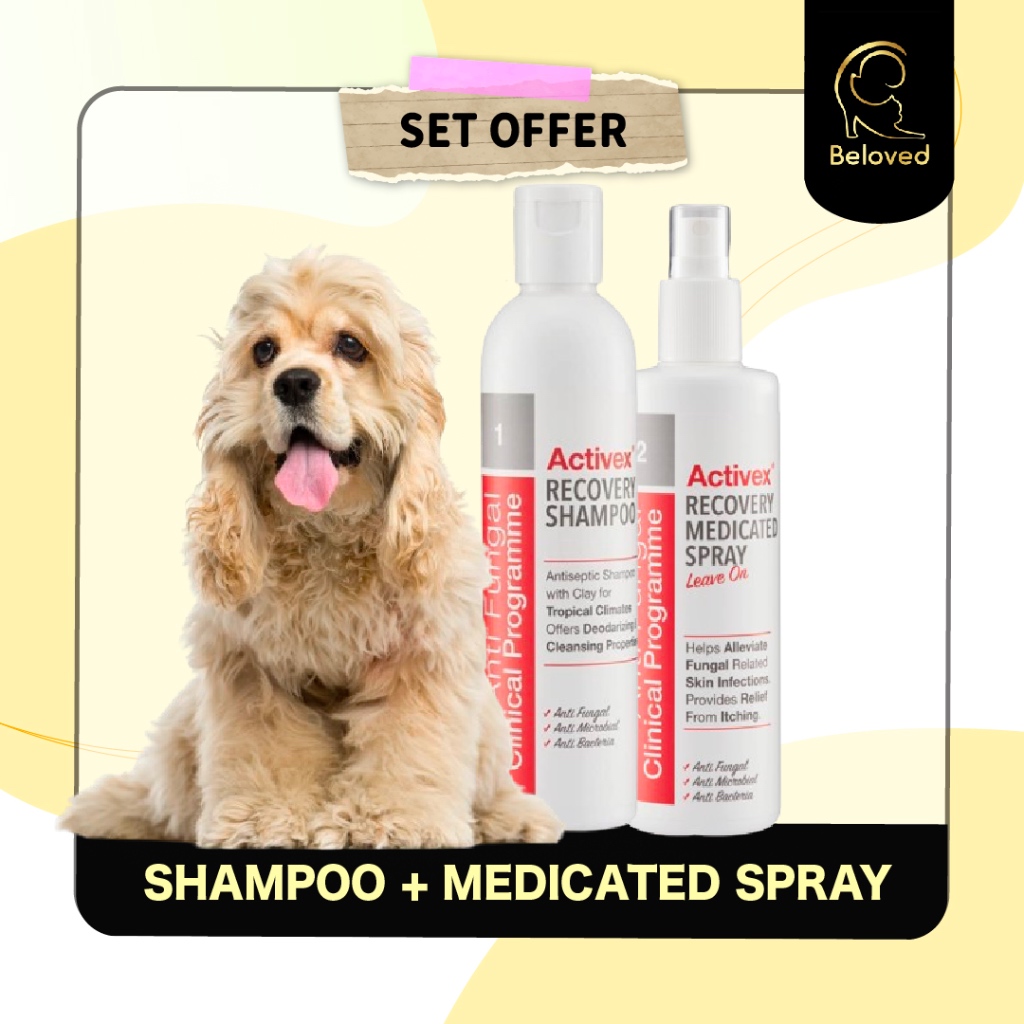ACTIVEX: Recovery Shampoo & Spray Anti-Fungal Clinical Program for pet CATS & DOGS. VET ...
