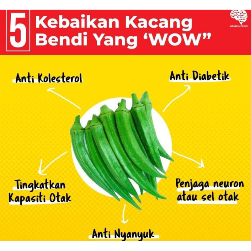 BENDI SEGAR DARI LADANG BEBAS RACUN/KG | Shopee Malaysia