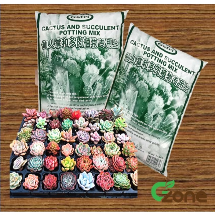 Gafri Cactus And Succulent Potting Mix 7L GC 202 Tanah Untuk Kaktus ...