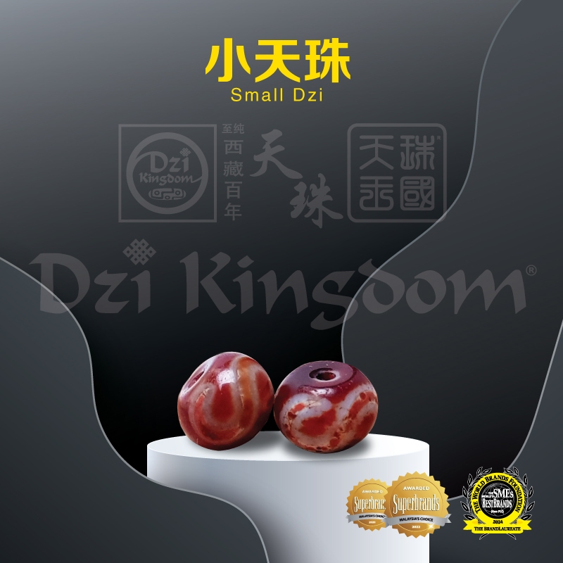 Dzi Kingdom Small Dzi (2pcs) 天珠王国小配珠(2颗) | Shopee Malaysia